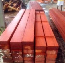Cameroon Timber Export - Top Timber Exporter, Wholesaler, and Supplier