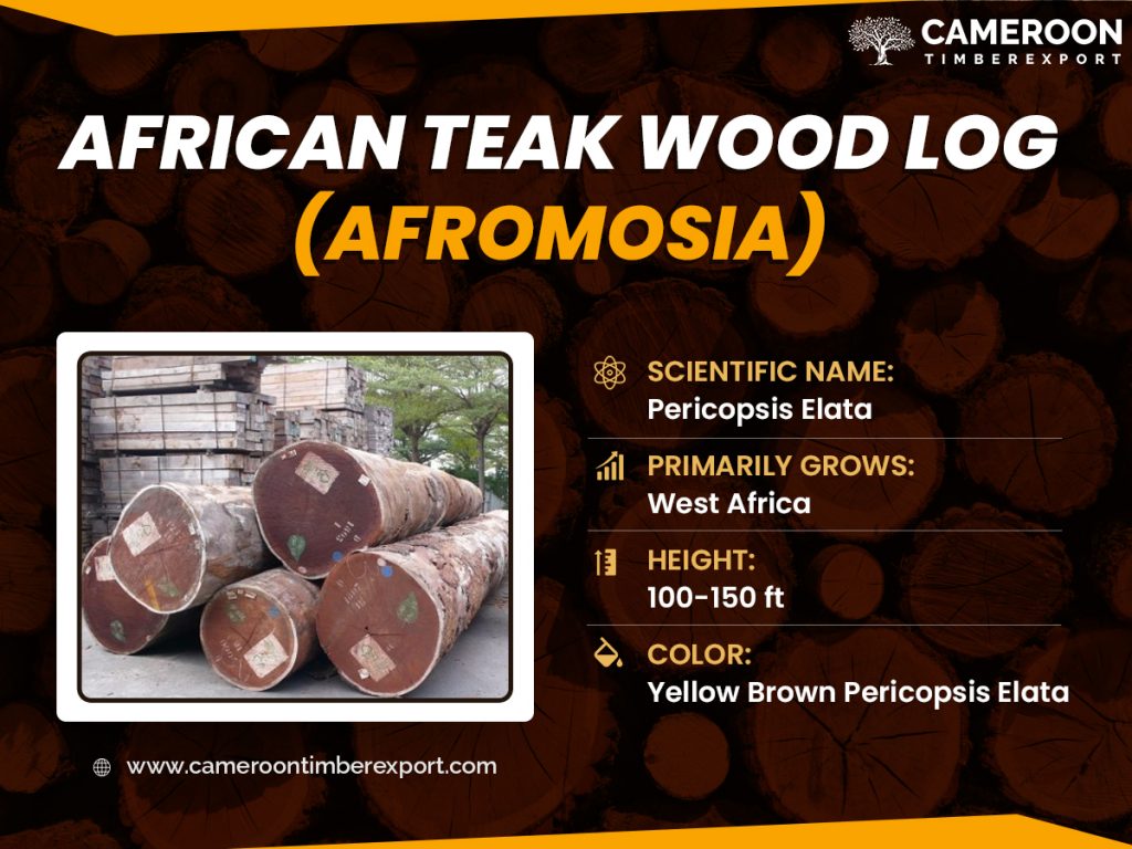 Afromosia (African Teak) Wood | How & Where to Buy Them