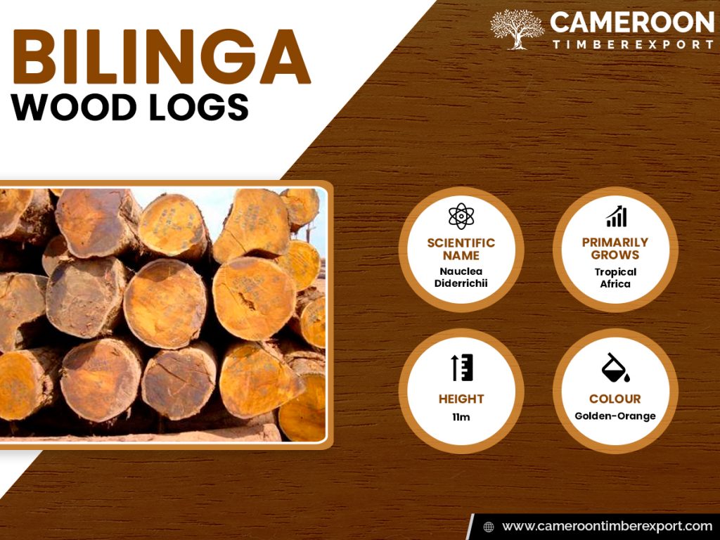 Bilinga Wood Logs Available For Exporting, Supplying & Wholesaling