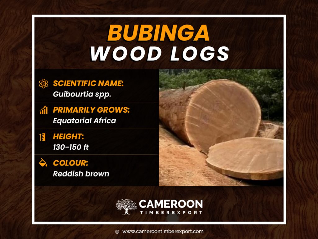 Top Quality Bubinga Wood Wholesaler & Exporter Worldwide