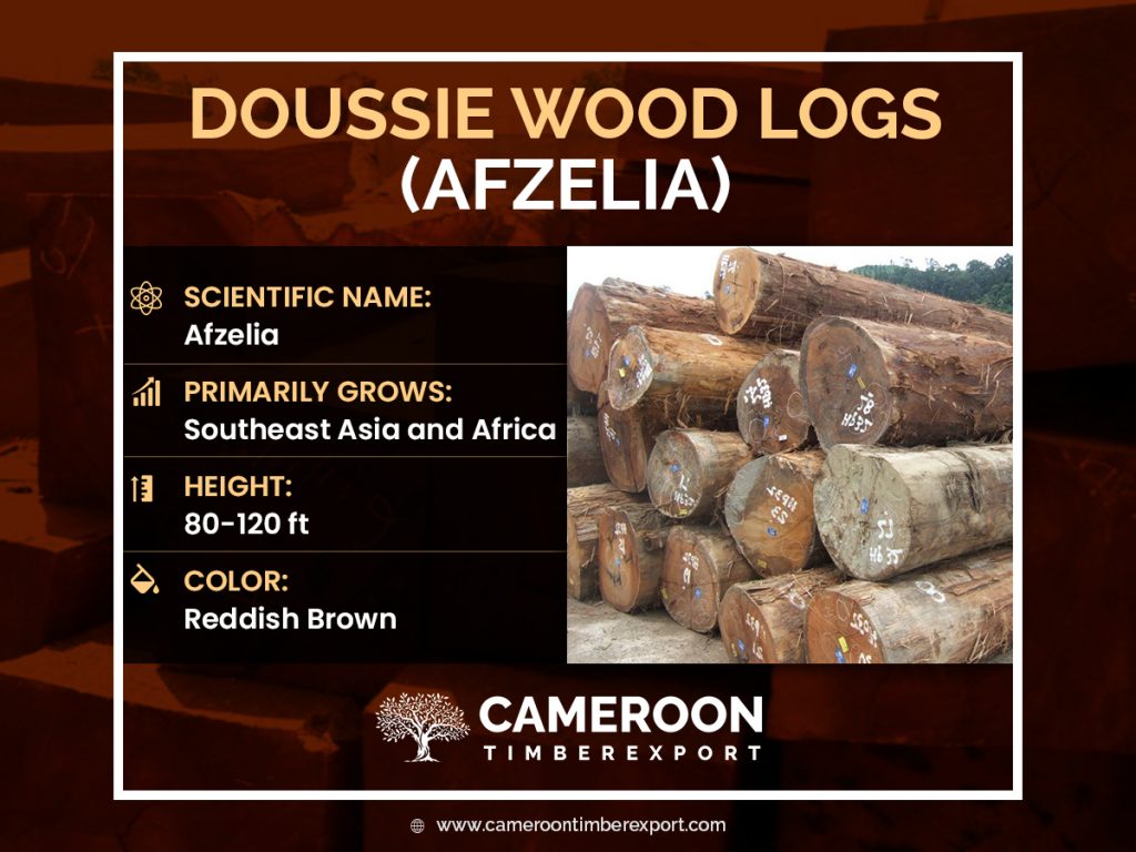 Doussie Wood logs Suppliers - Best Exporters In Wood Market