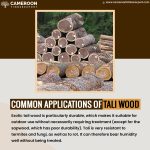 Tali Wood Logs Supplying & Exporting By Cameroon Timber Export