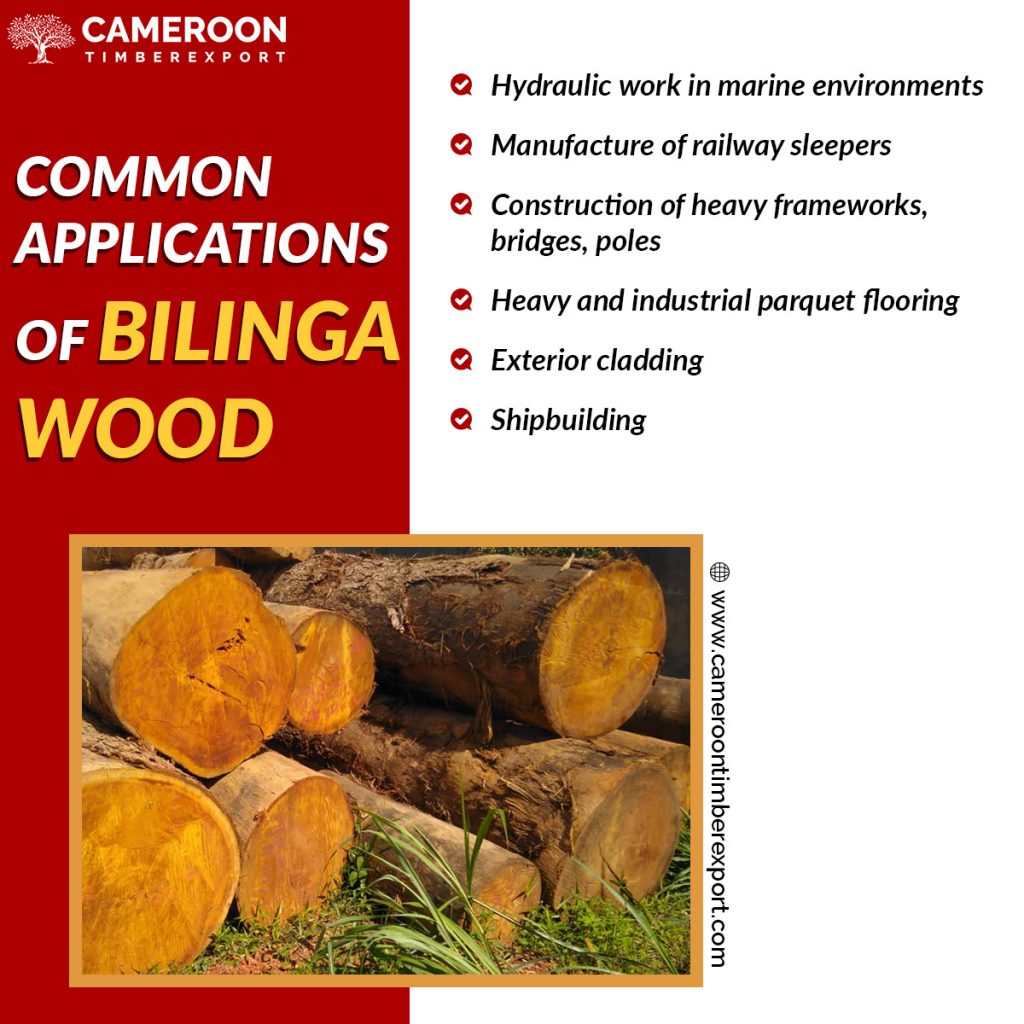 Bilinga Wood Logs Available For Exporting, Supplying & Wholesaling