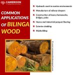Bilinga Wood Logs Available For Exporting, Supplying & Wholesaling