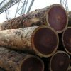 Cameroon Timber Export - Your Online Shop For Timber Exporting