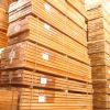 Cameroon Timber Export - Top Timber Exporter, Wholesaler, and Supplier