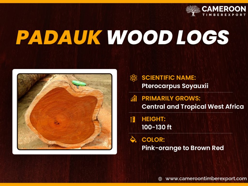 Buy Padauk Wood : Top Suppliers, Wholesalers, & Exporters