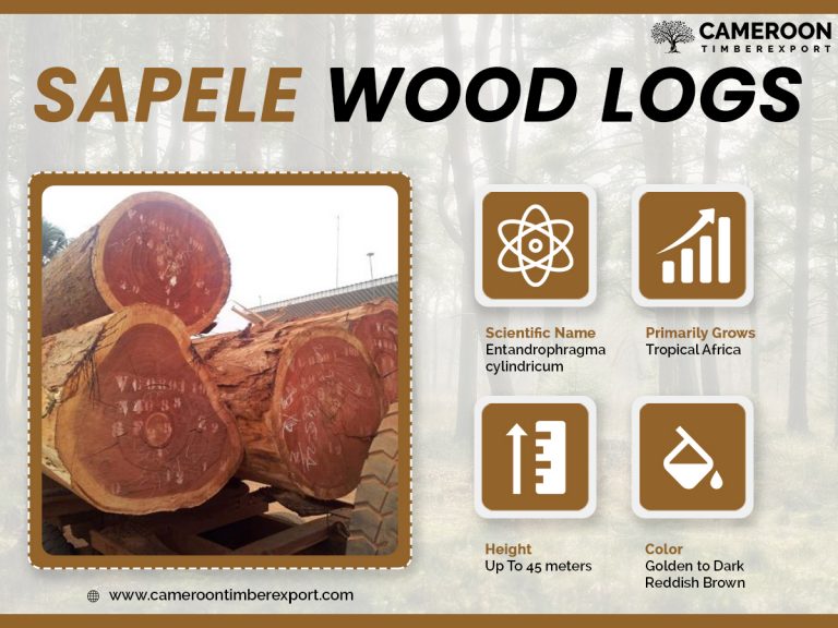 Sapele Wood: Properties, Characteristics & Uses