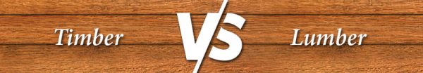 Top 5 Difference Between The Timber And Lumber - A Comparative Guide