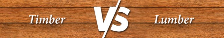 Top 5 Difference Between The Timber And Lumber - A Comparative Guide