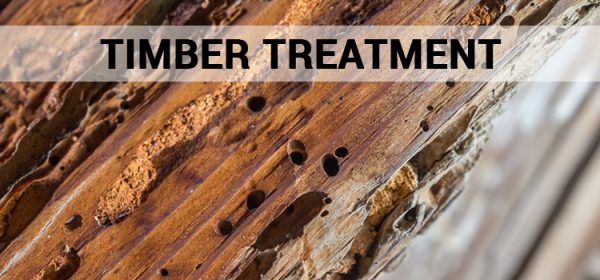 Timber Treatment & Grading Services at Cameroontimberexportsarl