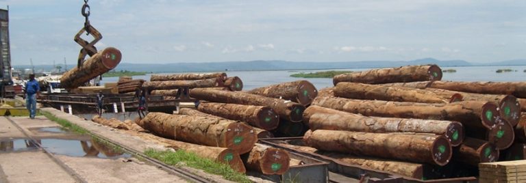 Wood Transportation Services | Transport Planning For Wood in Cameroon