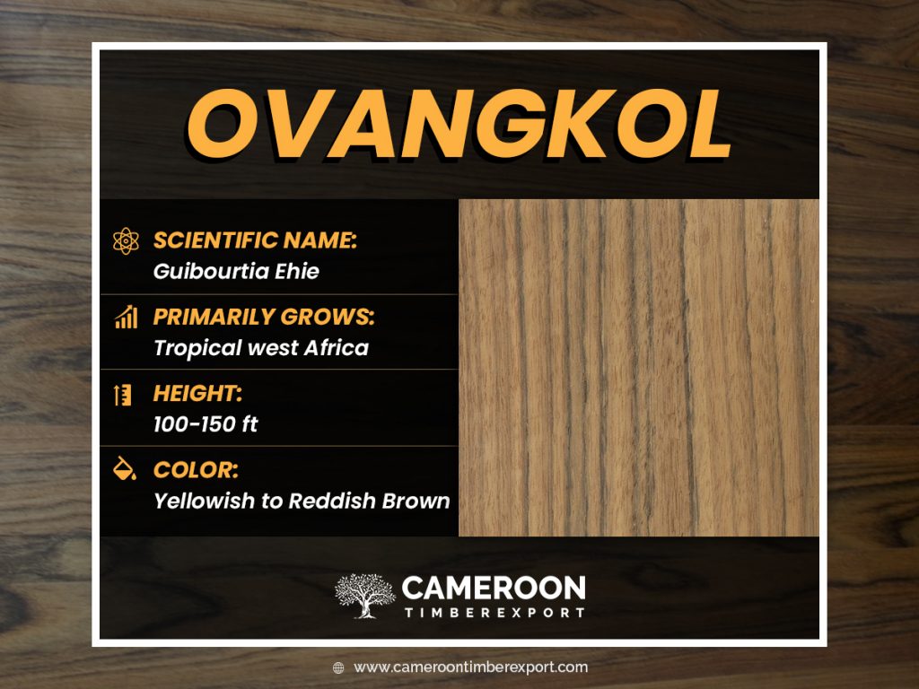 African Ovangkol Wood: Best Quality Logs with Worldwide Shipping