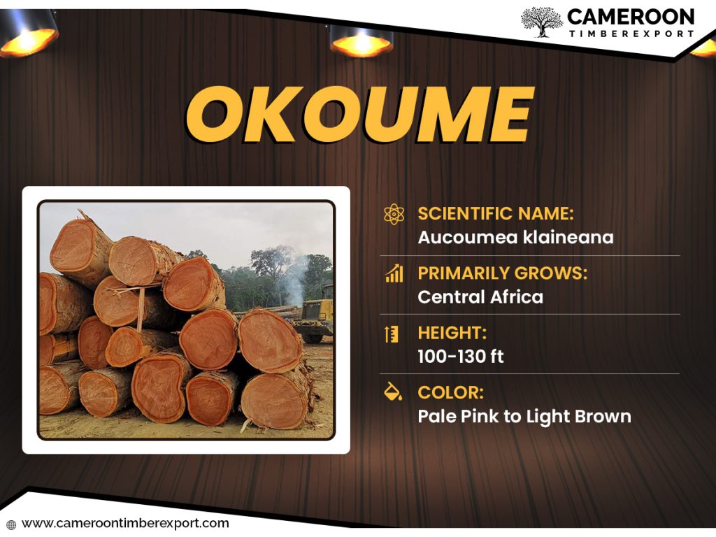High-Quality Okoume Timber Wood For Sale Online