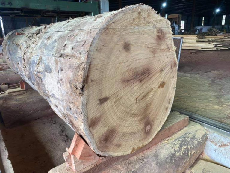 African Ovangkol Wood: Best Quality Logs with Worldwide Shipping