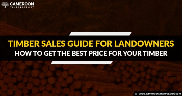 Timber Selling Guide for Landowners: How to Get the Best Price