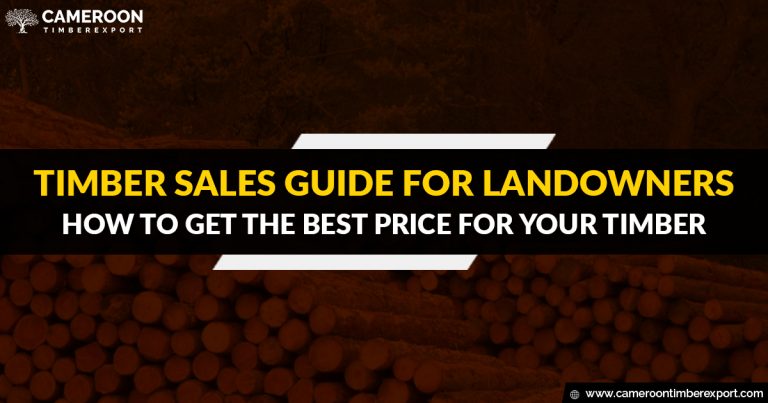 Timber Selling Guide for Landowners: How to Get the Best Price