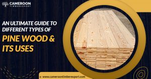 An Ultimate Guide To Different Types Of Pine Wood & its Uses