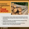 Teak Wood : Properties, Characteristics & Uses in Detail
