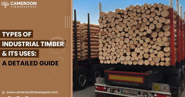 Types of Industrial Timber & its Uses: A Detailed Guide