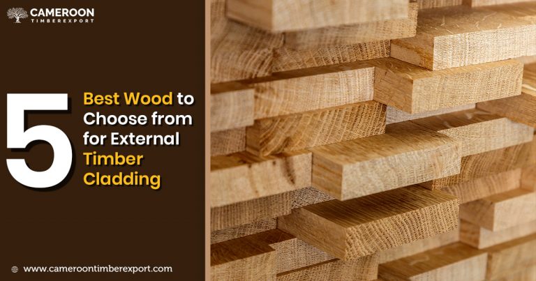 External Timber Cladding : Discover 5 Ideal Wood Species