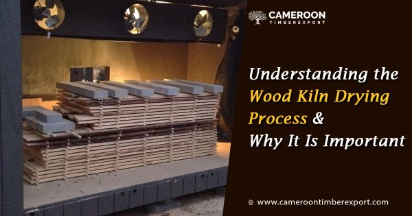 Understanding the Wood Kiln Drying Process & Why It Is Important?