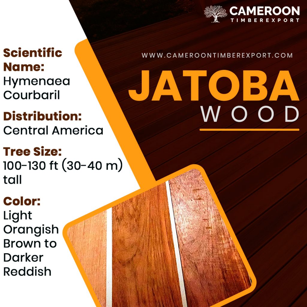 Buy High-Quality Jatoba Wood at Affordable Price