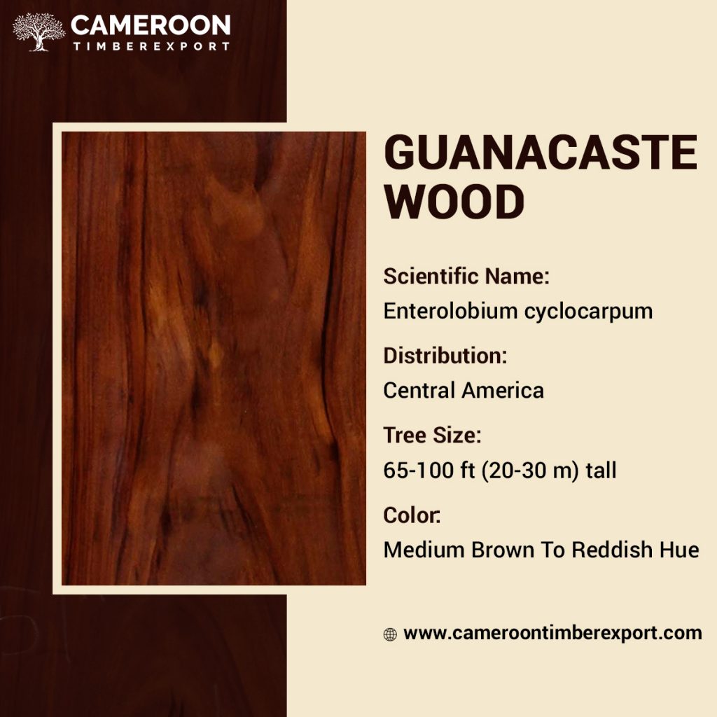 Buy Guanacaste Wood Online at Wholesale Prices