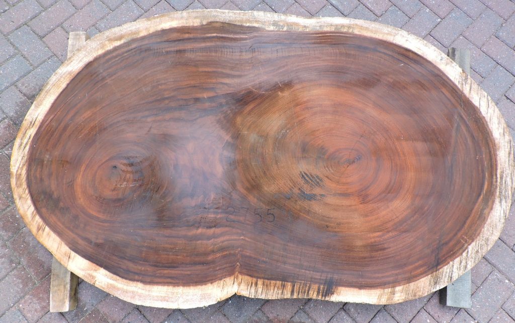 Buy Guanacaste Wood Online at Wholesale Prices