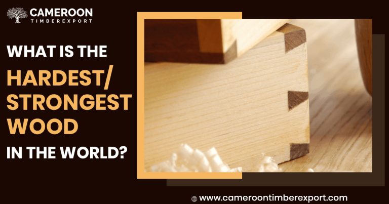 Discover the World's 10 Hardest Woods for Woodworking