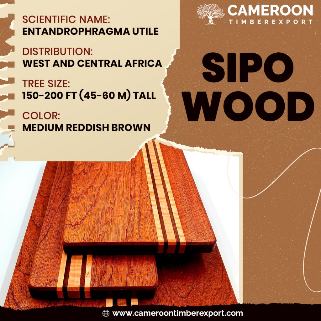 Sipo Wood - Best Place to Buy Utile Hardwood At Affordable Price