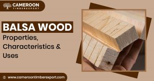 Balsa Wood: Properties, Characteristics & Uses