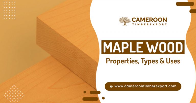 Maple Wood Properties, Types & Uses in Detail