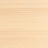Spruce Wood: Properties, Types & Uses in Detail