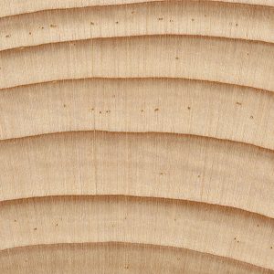 Spruce Wood: Properties, Types & Uses in Detail