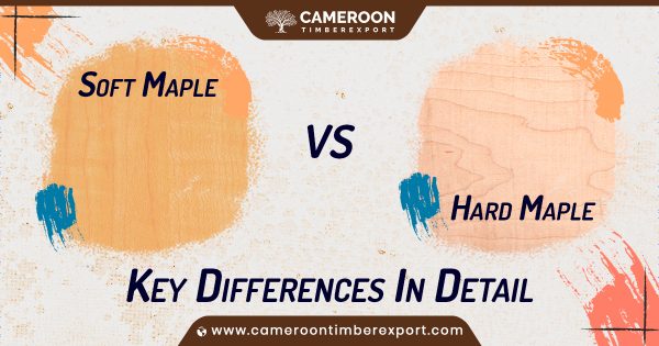 Soft Maple vs Hard Maple : Key Differences & Uses in Detail