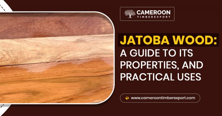 Jatoba Wood : A Guide to its Properties, and Practical Uses