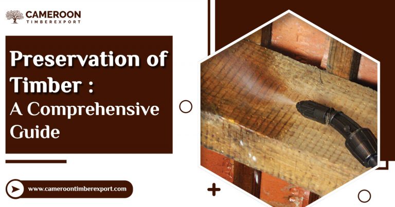 Preservation of Timber : All You Need to Know
