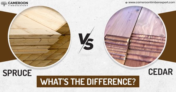 Spruce Vs Cedar: Unveiling the Key Differences