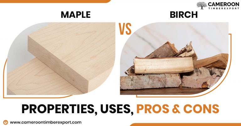 Maple vs Birch : Properties, Uses, Pros & Cons
