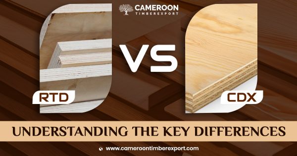 RTD vs CDX Plywood : Understanding the Key Differences