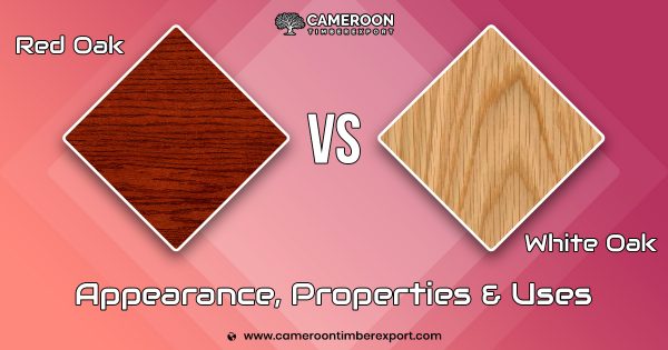 Red Oak vs White Oak: Solving Woodworker's Dilemma