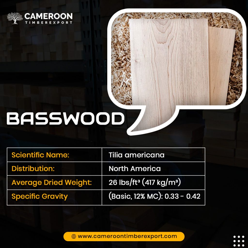 Top-Quality Basswood Lumber For Sale at Affordable Price
