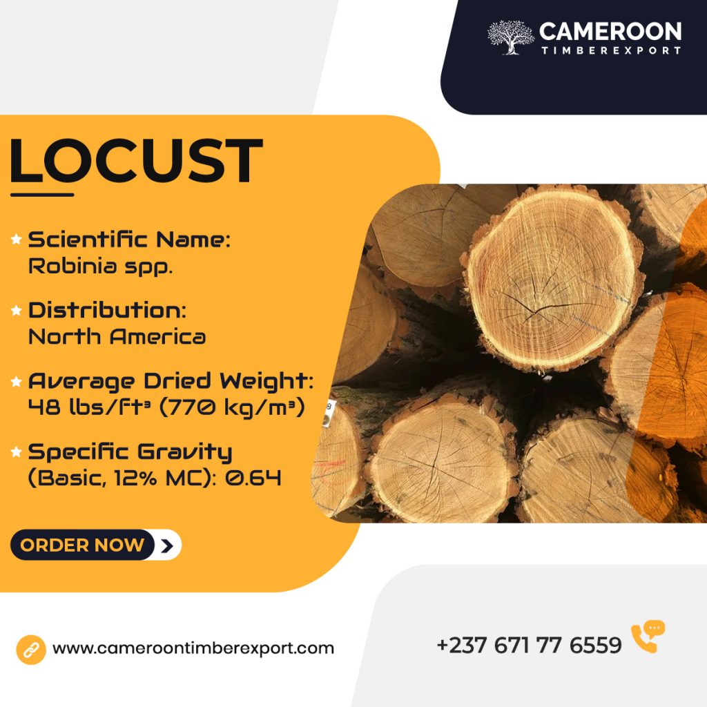 Premium Locust Lumber for Sale – Source the Finest Today