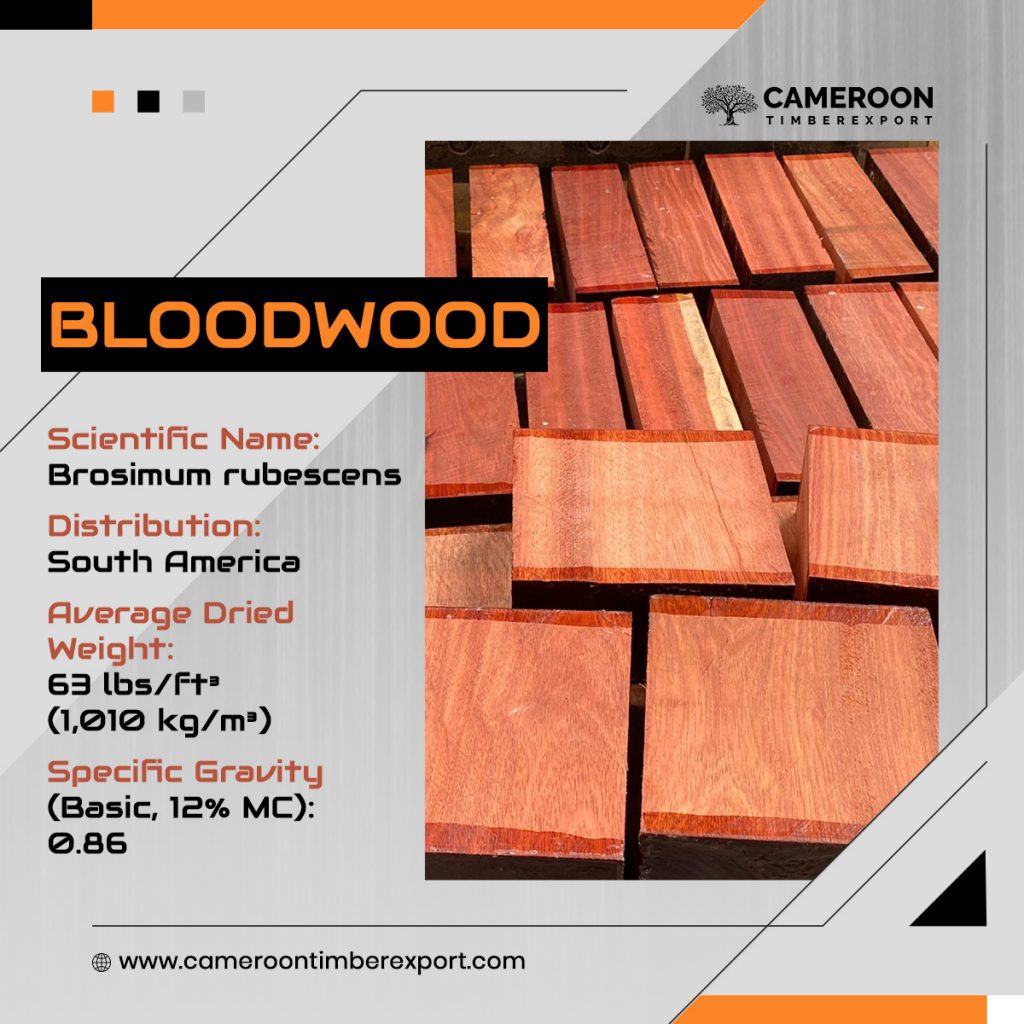 Exquisite Bloodwood Lumber for Sale at Wholesale Price