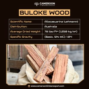 High-Quality Buloke Wood For Sale at Lowest Price