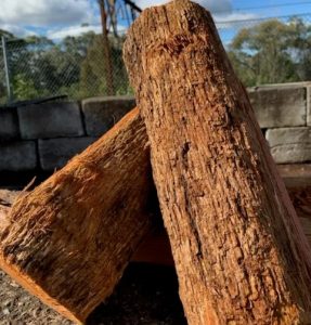 High-Quality Buloke Wood For Sale at Lowest Price