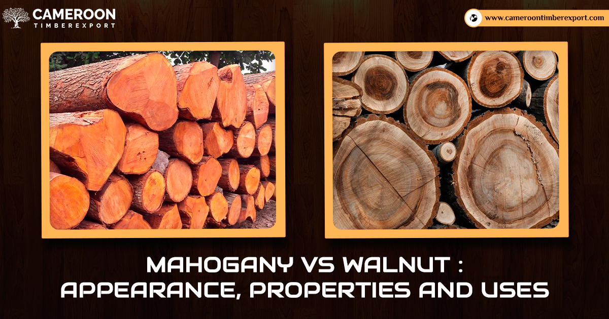 Mahogany vs Walnut : Appearance, Properties and Uses
