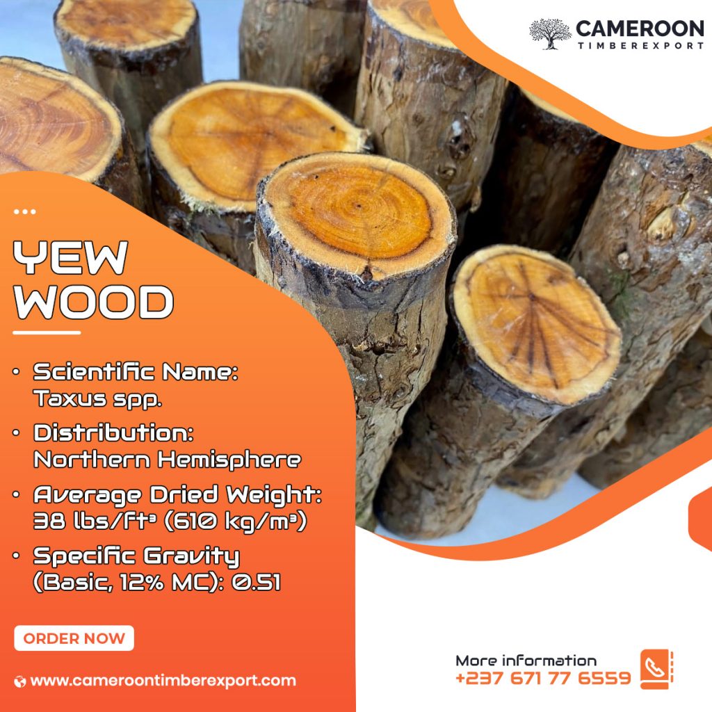 Yew Wood for Sale – Your Gateway to Premium Quality