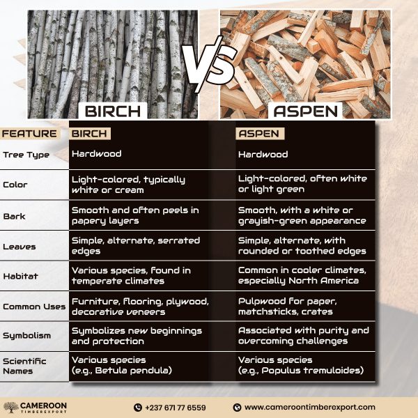 Aspen vs Birch : Who Reigns Supreme?
